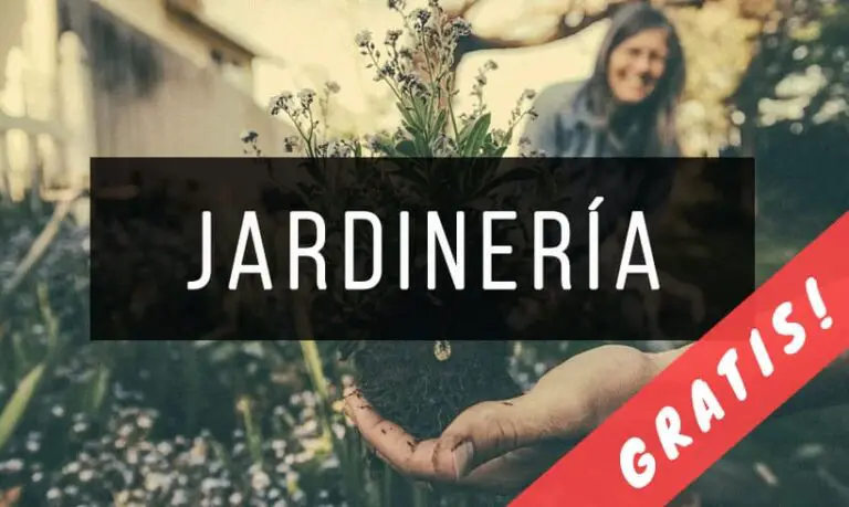 +15 Libros de Jardinería ¡Gratis! [PDF] | InfoLibros.org