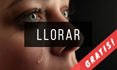 +20 Libros para‌ ‌Llorar ¡Gratis! [PDF]