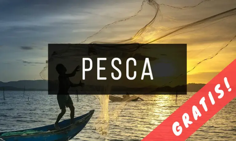 +20 Libros de Pesca ¡Gratis! [PDF] | InfoLibros.org