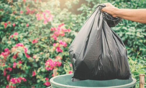+20 Libros sobre la Basura ¡Gratis! [PDF]
